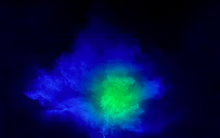 HOMOGENITUS / OUCLIPO | Marie.julie Bourgeois